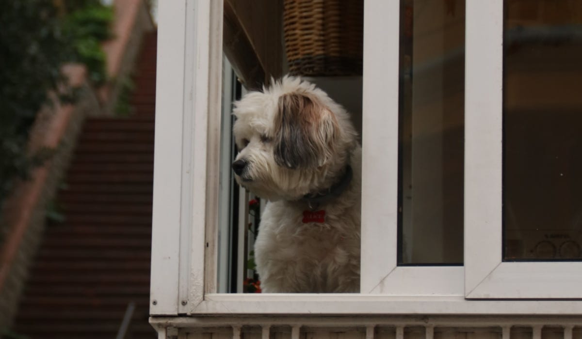 How to Stop Sliding Windows From Sticking | Hiatt Hardware Guide